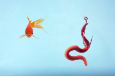 How to keep Twitter Worms from Sucking Up and Spitting out your Followers,